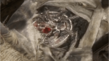 so the mark on melina s left eye would represent